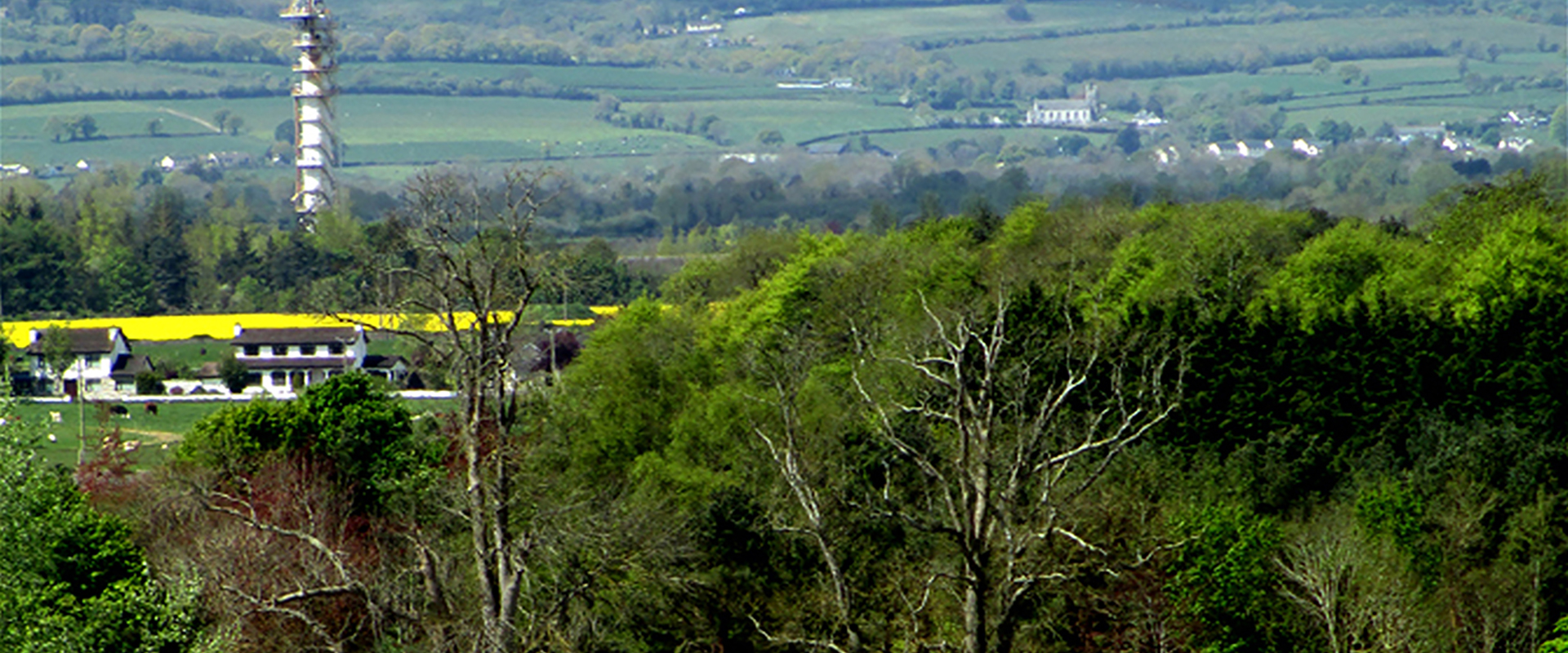 View of the 8th with Killeshin in the background copy - Club Choice Ireland
